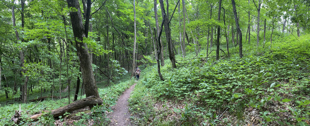 Kettle Moraine State Forest - Loew Lake Unit | A Wealth of Nature A ...