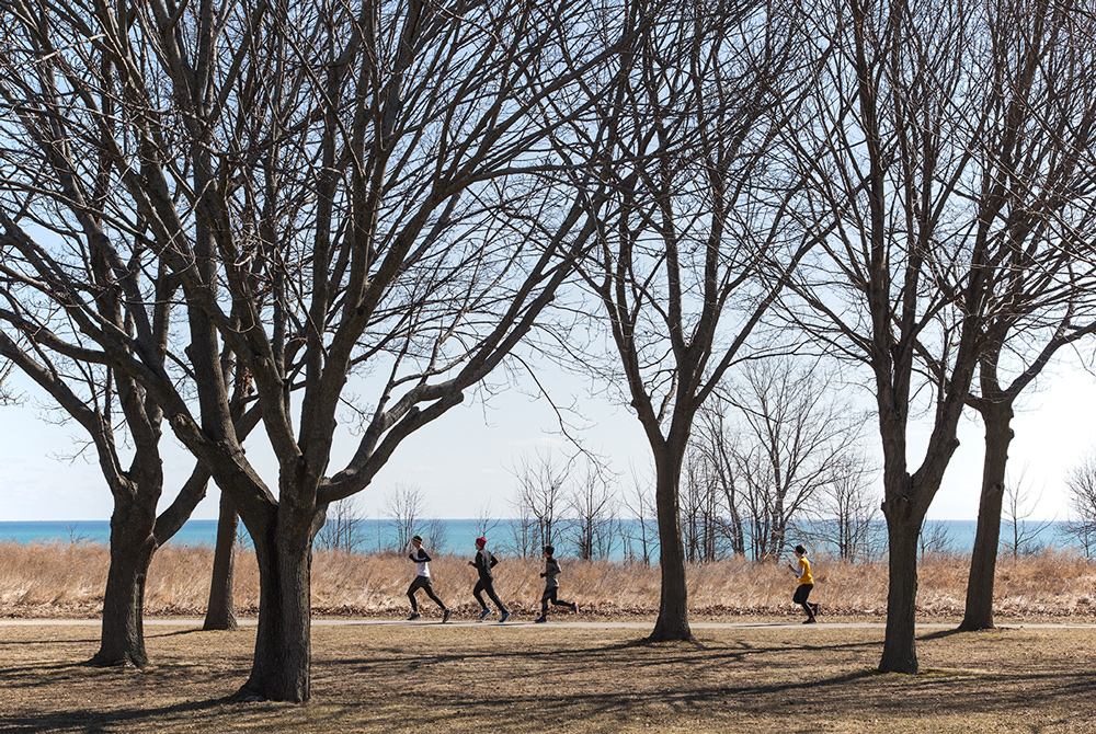 Warnimont Park | A Wealth of Nature A Wealth of Nature