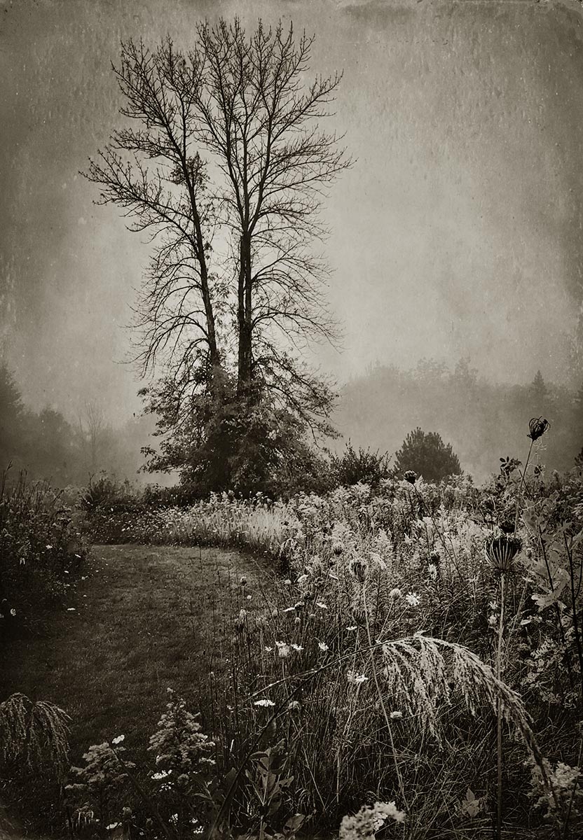 Vicki Reed: Artist in Residence at Forest Beach Migratory Preserve | A ...