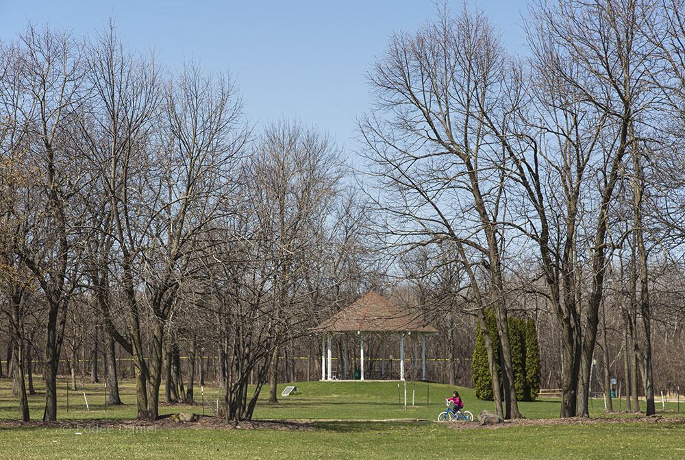 Malone Park | A Wealth of Nature A Wealth of Nature