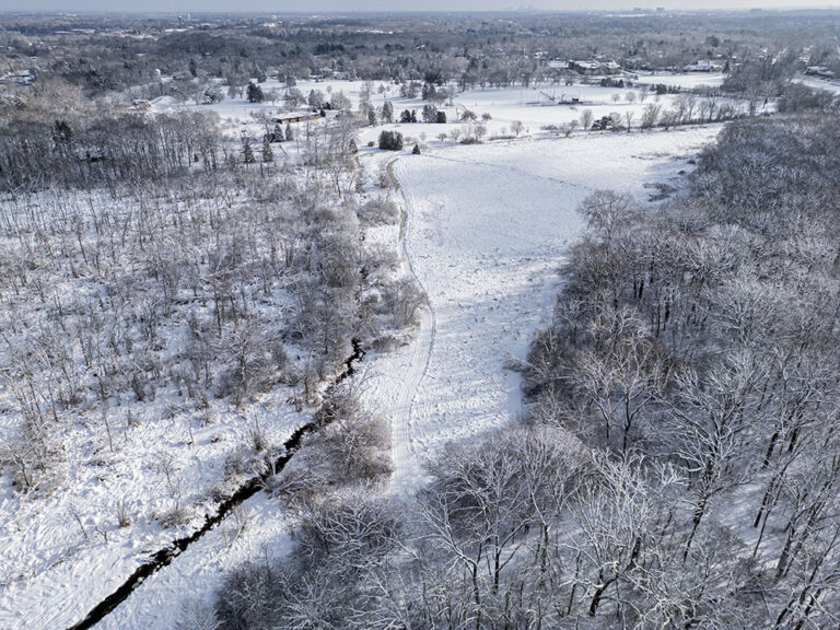 The Wilderness of Wirth | A Wealth of Nature A Wealth of Nature