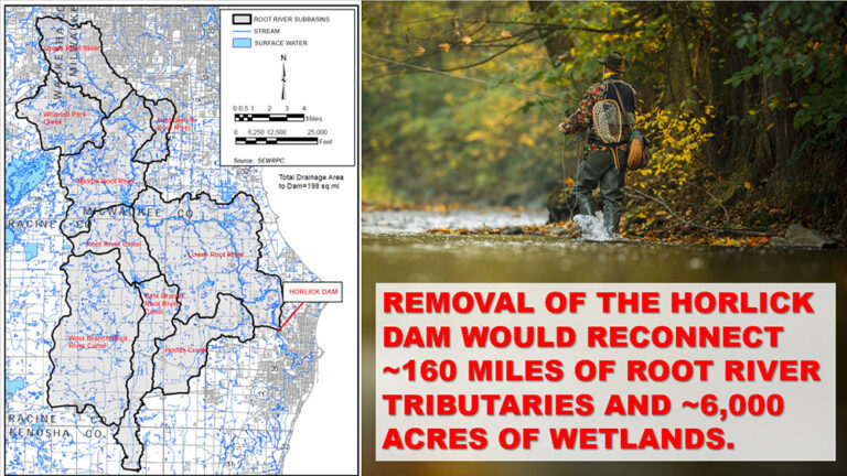 The Horlick Dam on the Root River in Racine will be removed! | A Wealth of Nature A Wealth of Nature