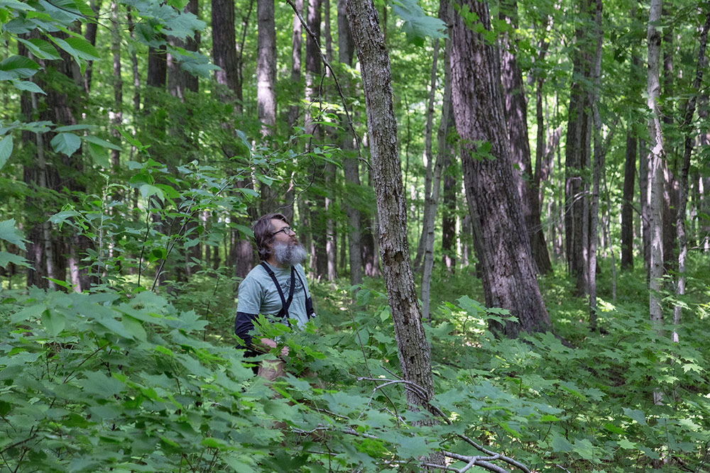 Get Lost! And Find Yourself… | A Wealth of Nature A Wealth of Nature